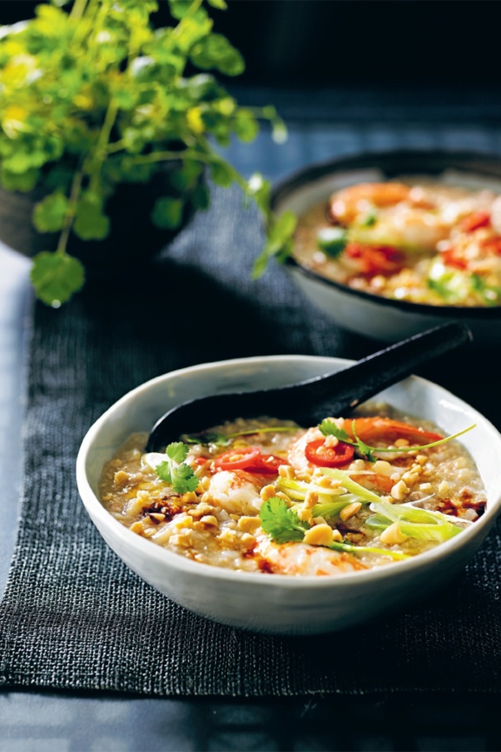 Brown Rice Congee In Slow Cooker